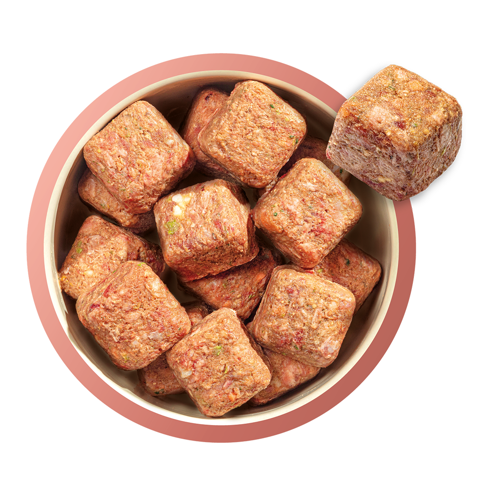 Puppy Nuggets Beef | Country Hunter Raw Nuggets | Natures Menu