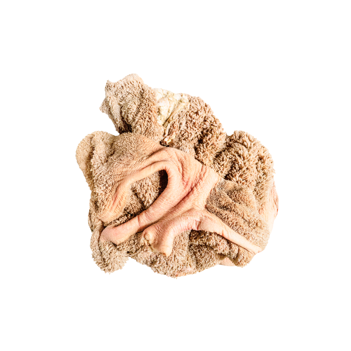 Banquet Dinner Nuggets | Natures Menu Raw Meals | Natures Menu